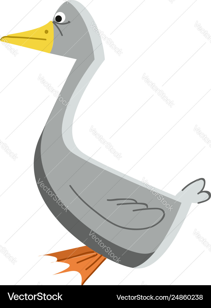 A grey color waterfowl bird with yellow sharp Vector Image
