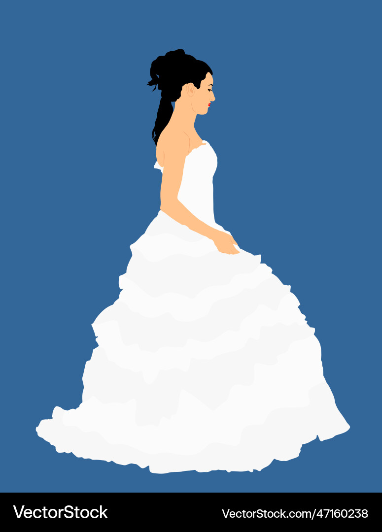 Bride in wedding dress isolated Royalty Free Vector Image
