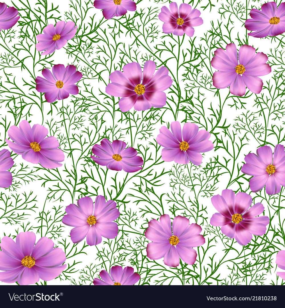 Seamless floral background with beautiful pink Vector Image