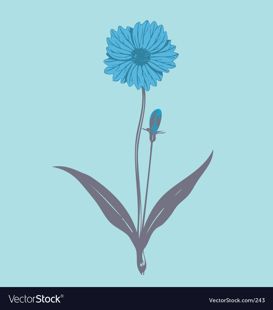 Flower Royalty Free Vector Image - VectorStock