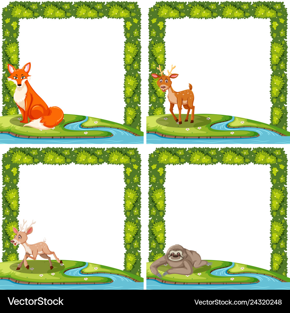 Set of wild animal frame Royalty Free Vector Image