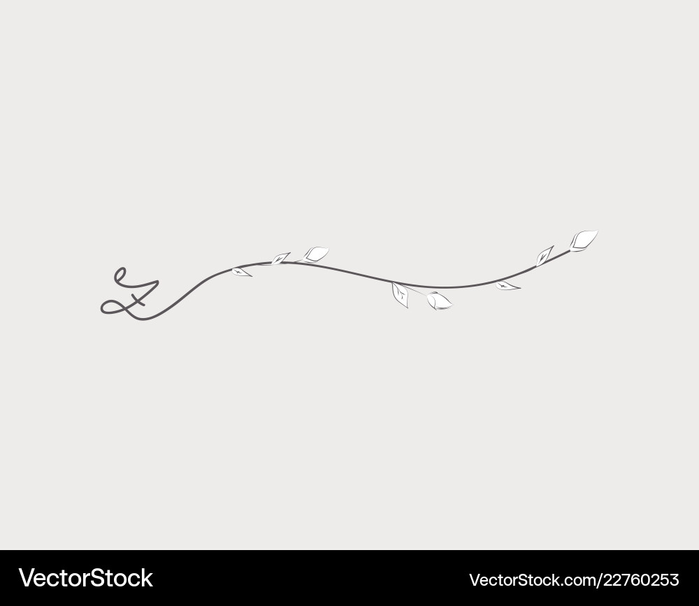 Hand lettering floral z lowercase monogram and Vector Image