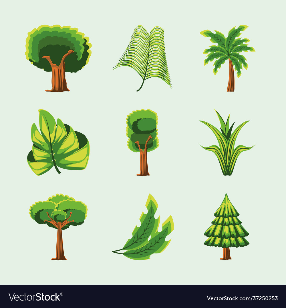 Set forest trees Royalty Free Vector Image - VectorStock