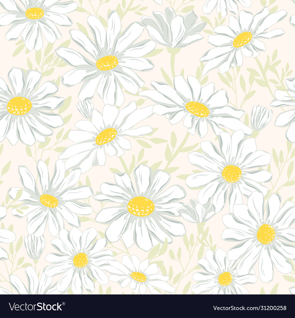 Chamomile seamless pattern Royalty Free Vector Image