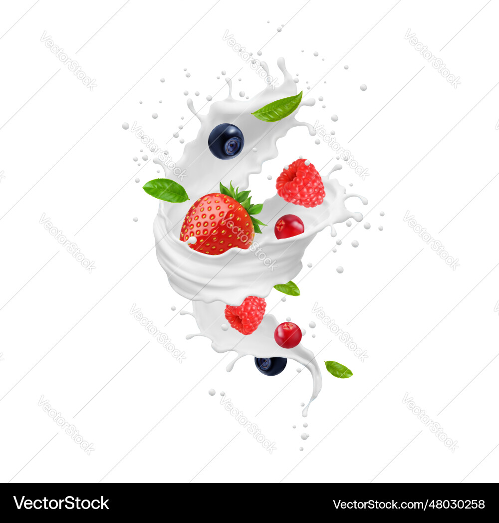 Milk swirl or tornado wave splash with berries Vector Image