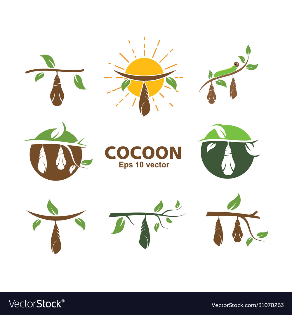 Cocoon design Royalty Free Vector Image - VectorStock