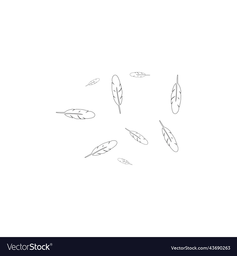 Feather background Royalty Free Vector Image - VectorStock