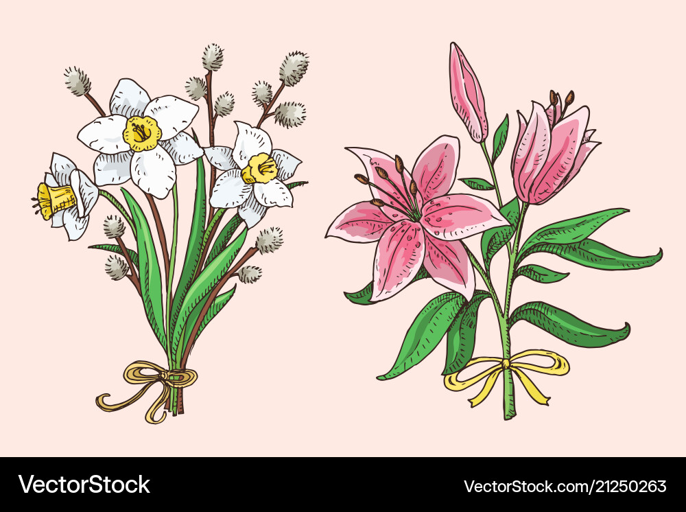 Set of hand drawn spring bouquets Royalty Free Vector Image