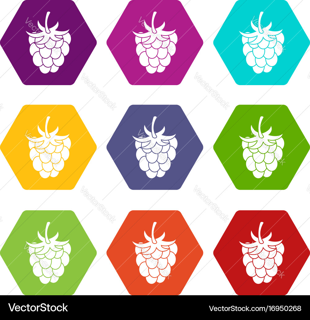 Raspberry or blackberry icon set color hexahedron Vector Image