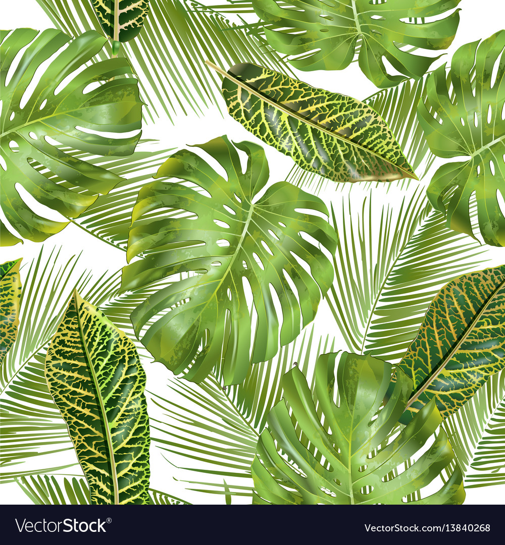 Tropical leaves pattern Royalty Free Vector Image