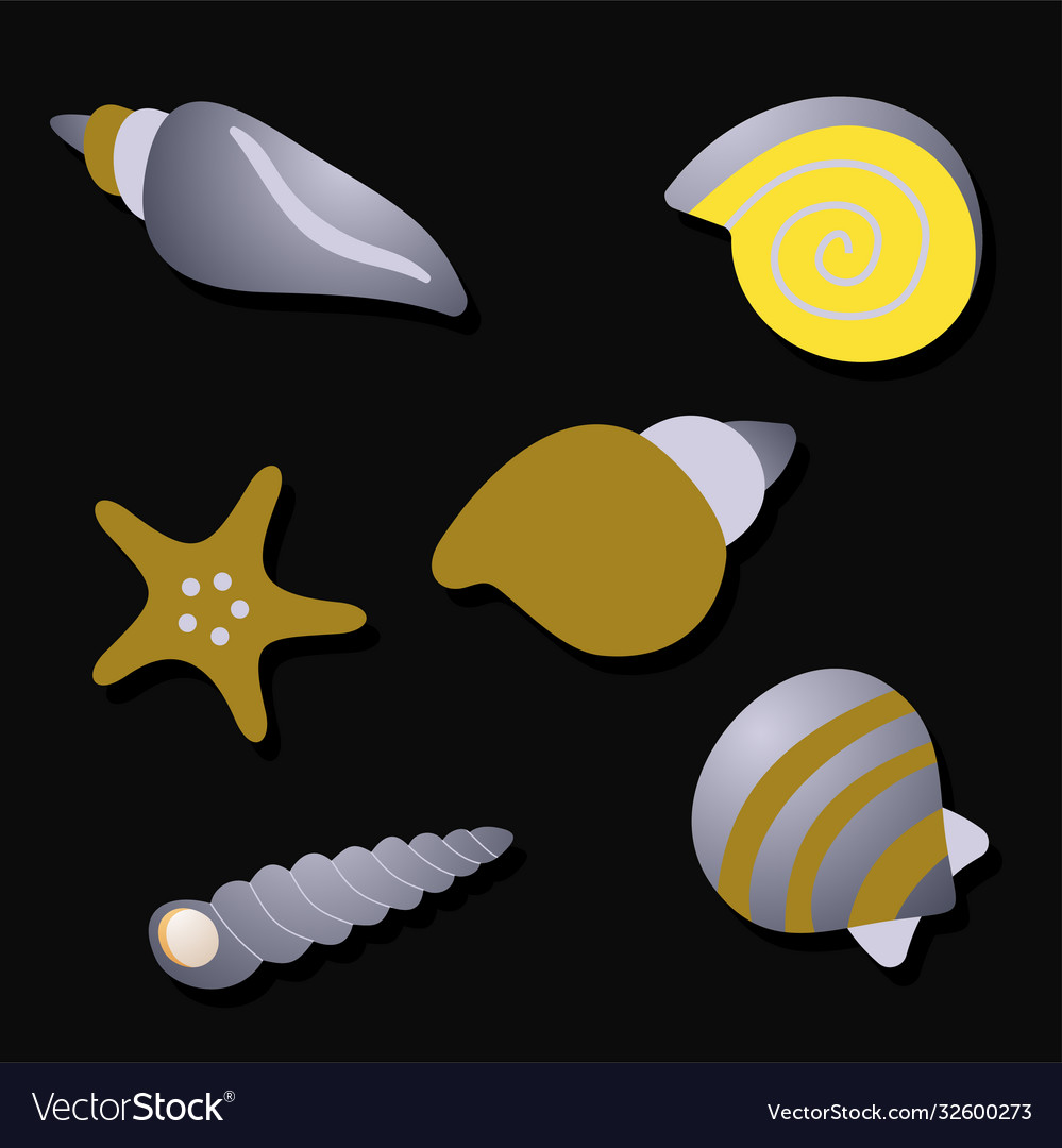 Sea shells and star Royalty Free Vector Image - VectorStock