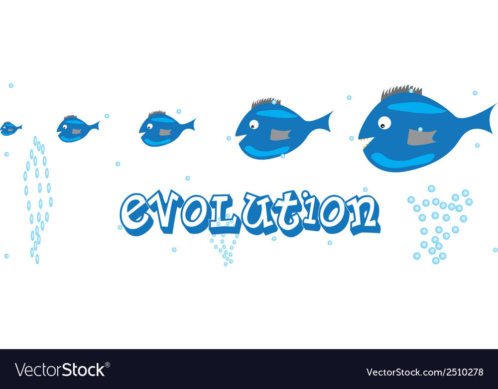 Fish evolution Royalty Free Vector Image - VectorStock