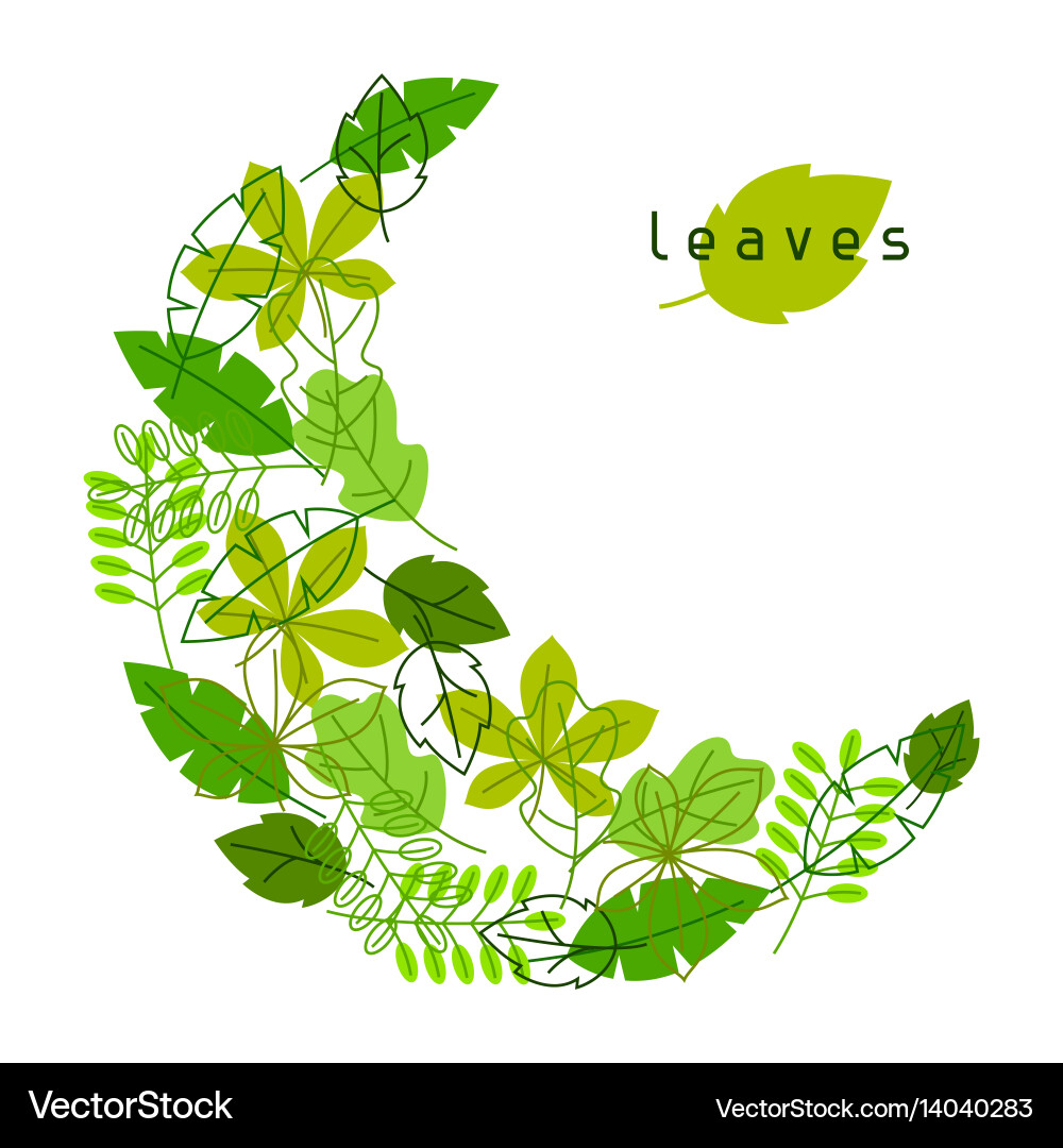 Natural card with stylized green leaves spring Vector Image
