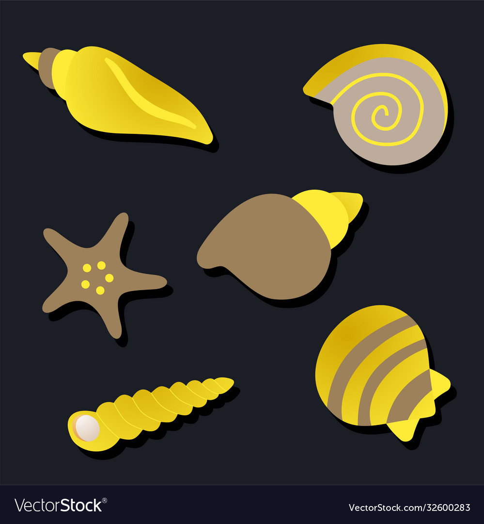 Sea shells and star Royalty Free Vector Image - VectorStock
