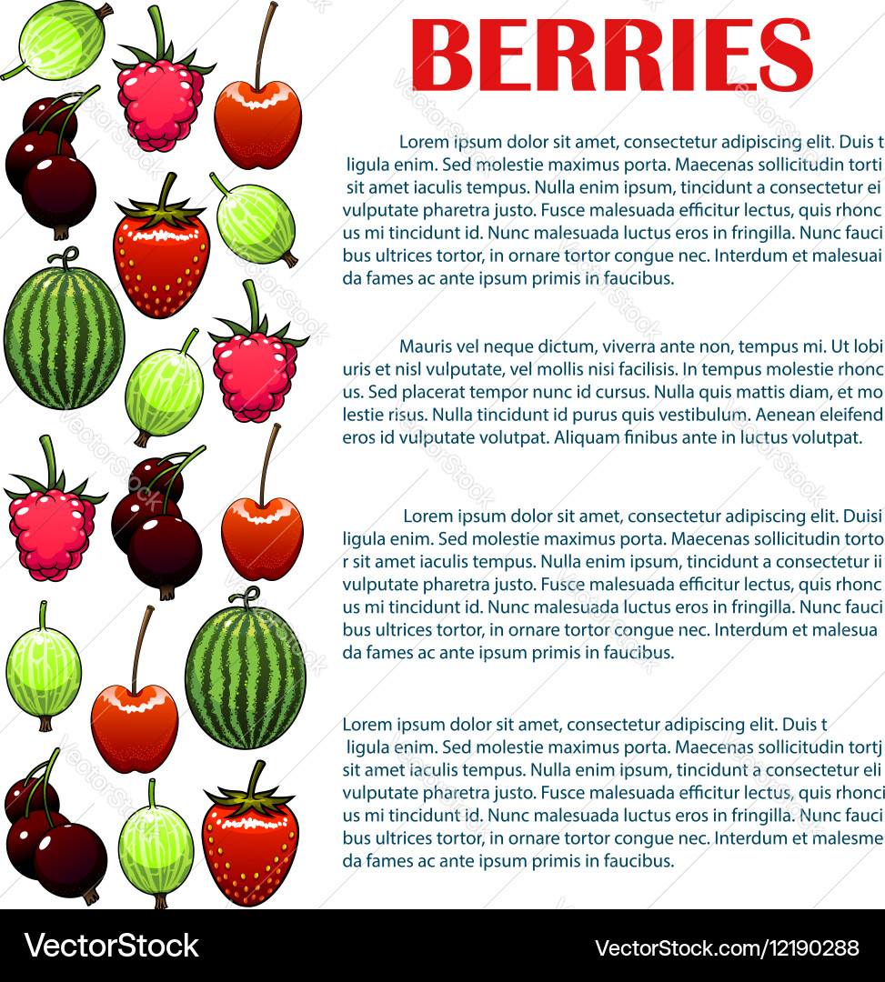 Berries infographic with berry icons Royalty Free Vector