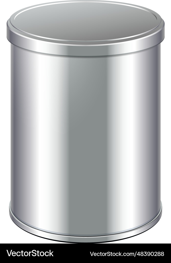 Realistic metal can for different products Vector Image