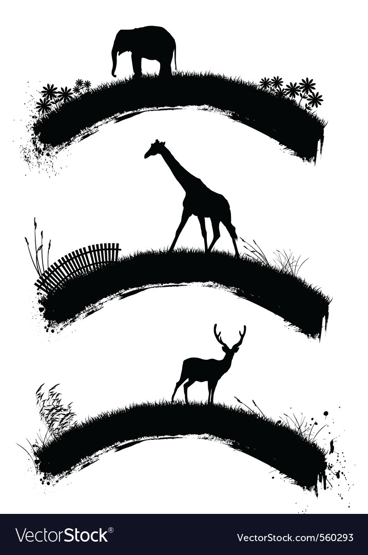 Wild animals Royalty Free Vector Image - VectorStock