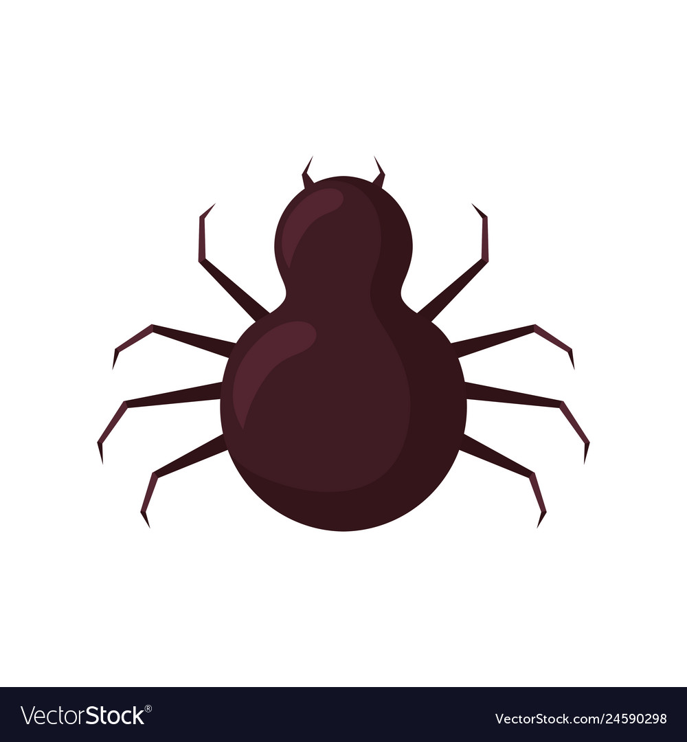 Happy halloween spider icon Royalty Free Vector Image