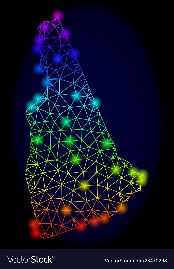 Polygonal network rainbow mesh map of new Vector Image