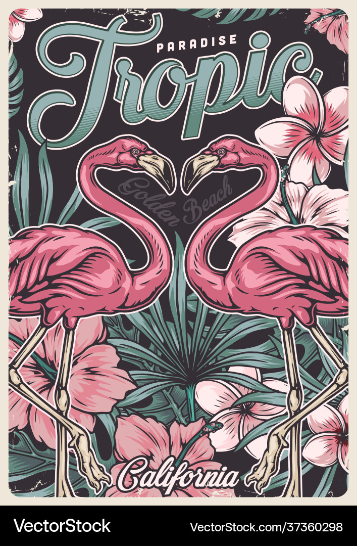 Tropical vintage colorful poster Royalty Free Vector Image