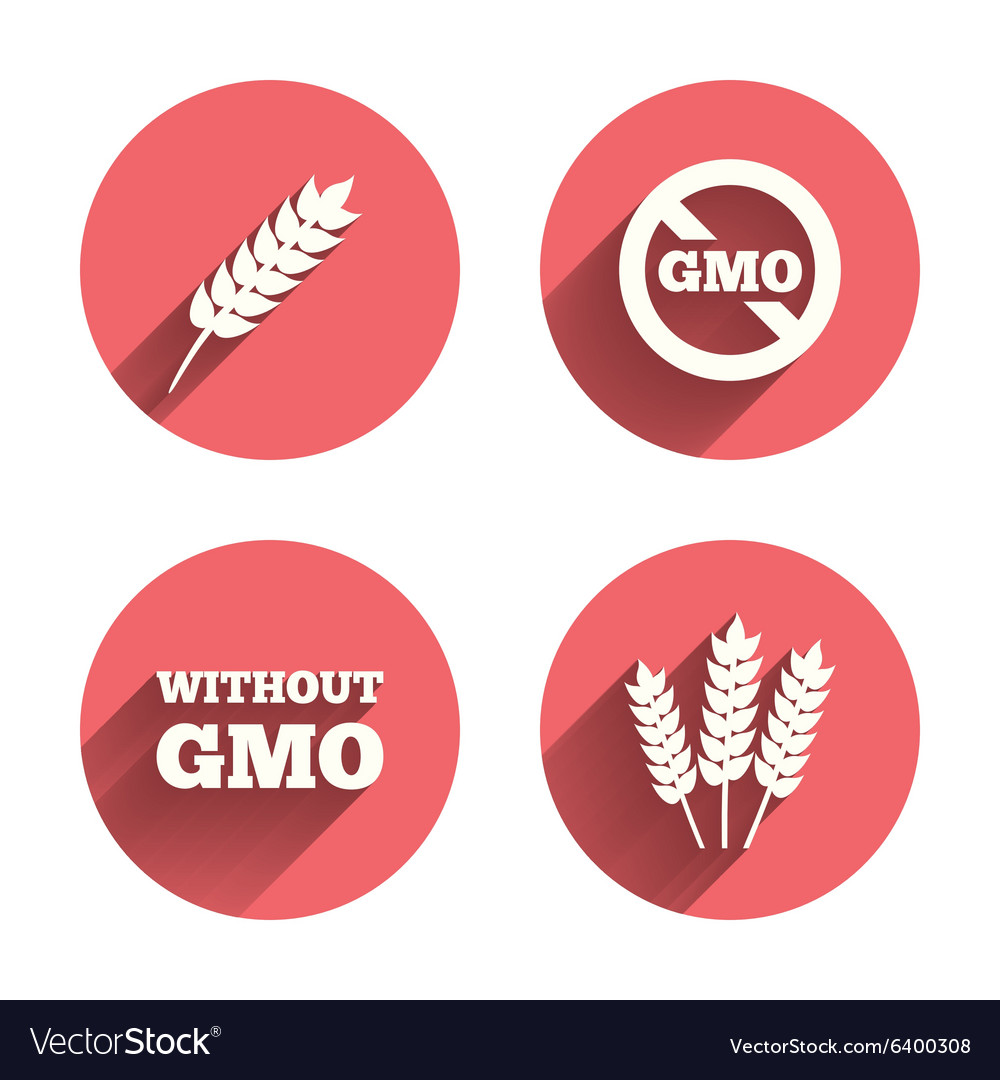 Agricultural icons GMO free symbols Royalty Free Vector