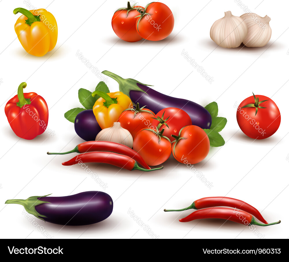 Big colorful group of vegetables Royalty Free Vector Image