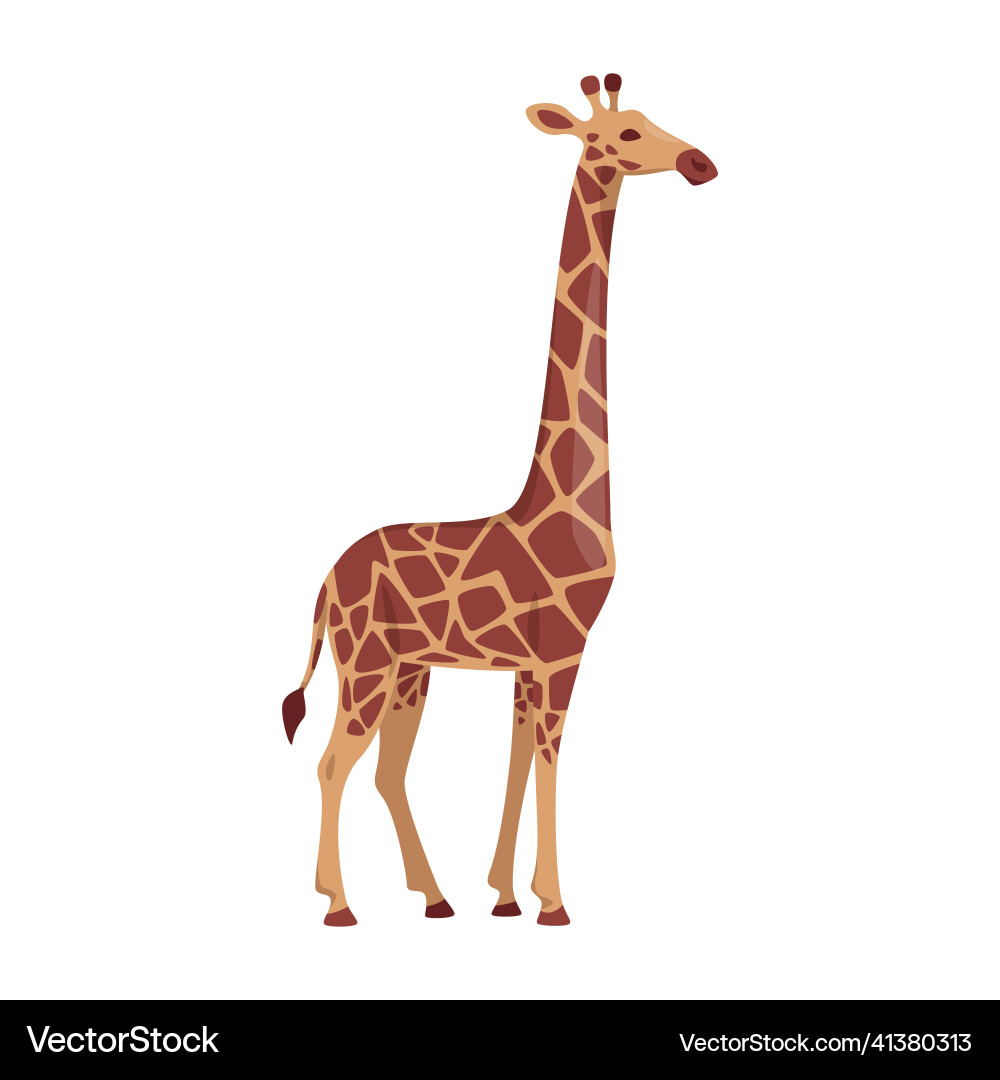 Cartoon style of a giraffe Royalty Free Vector Image
