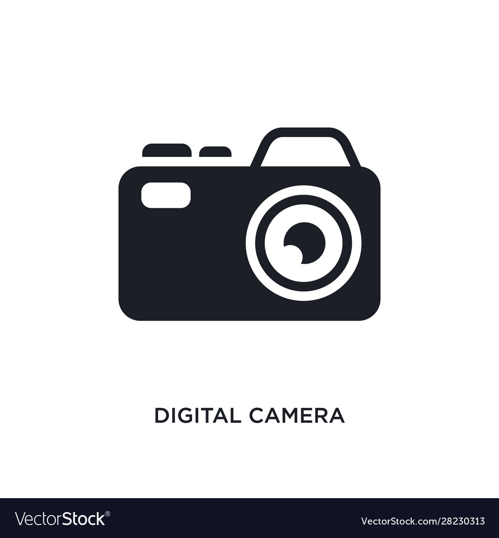 Digital camera isolated icon simple element from Vector Image