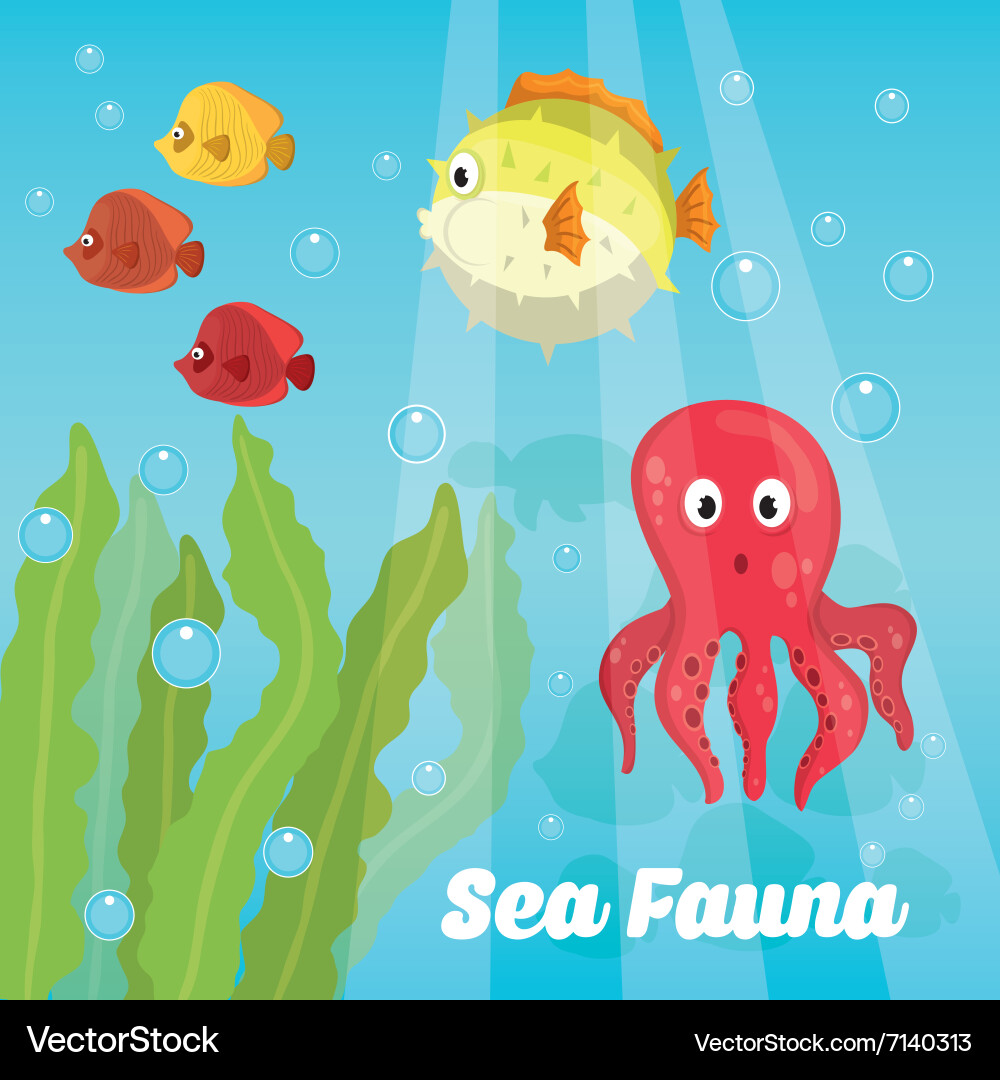 Sea fauna cartoon Royalty Free Vector Image - VectorStock