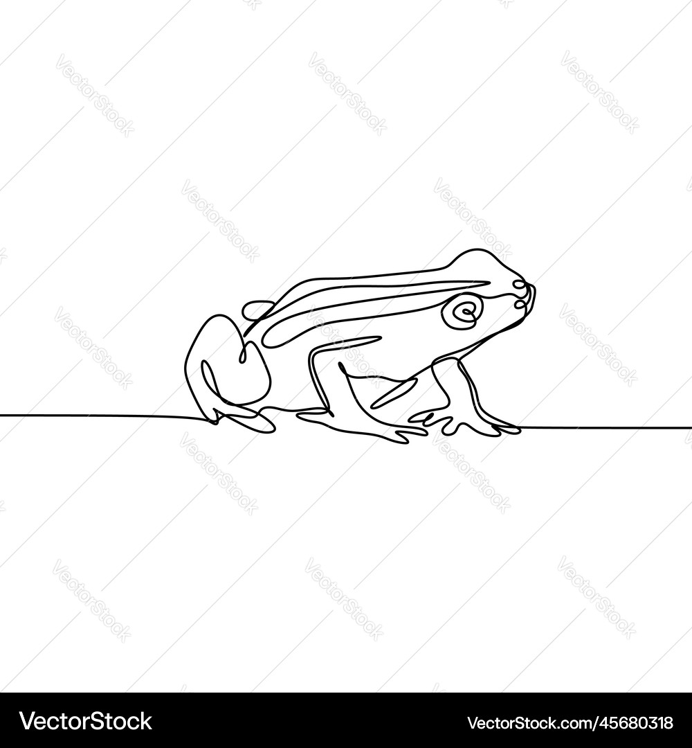 Continuous line drawing of frog future minimalism Vector Image