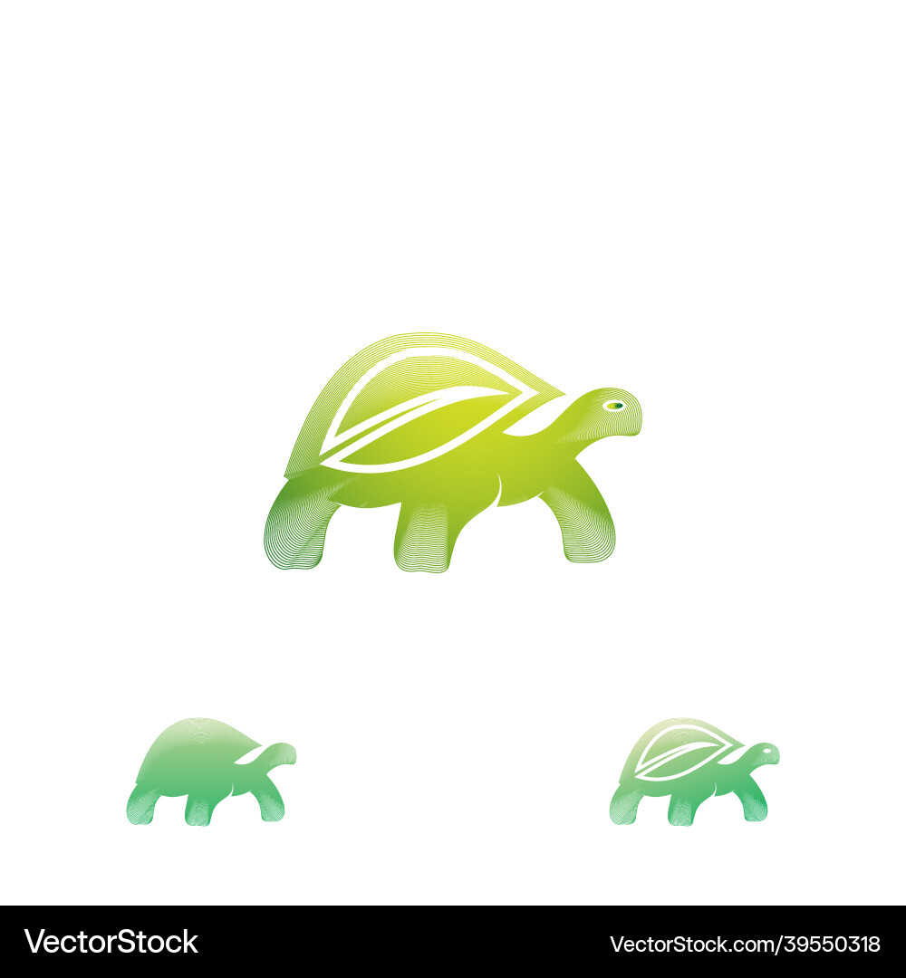 Tortoise logo design template inspiration Vector Image