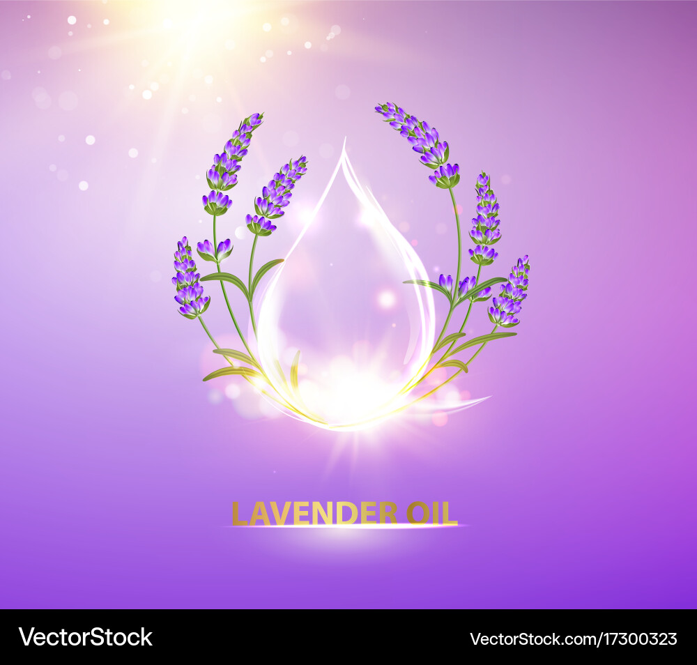 Cosmetic oil lotion Royalty Free Vector Image - VectorStock