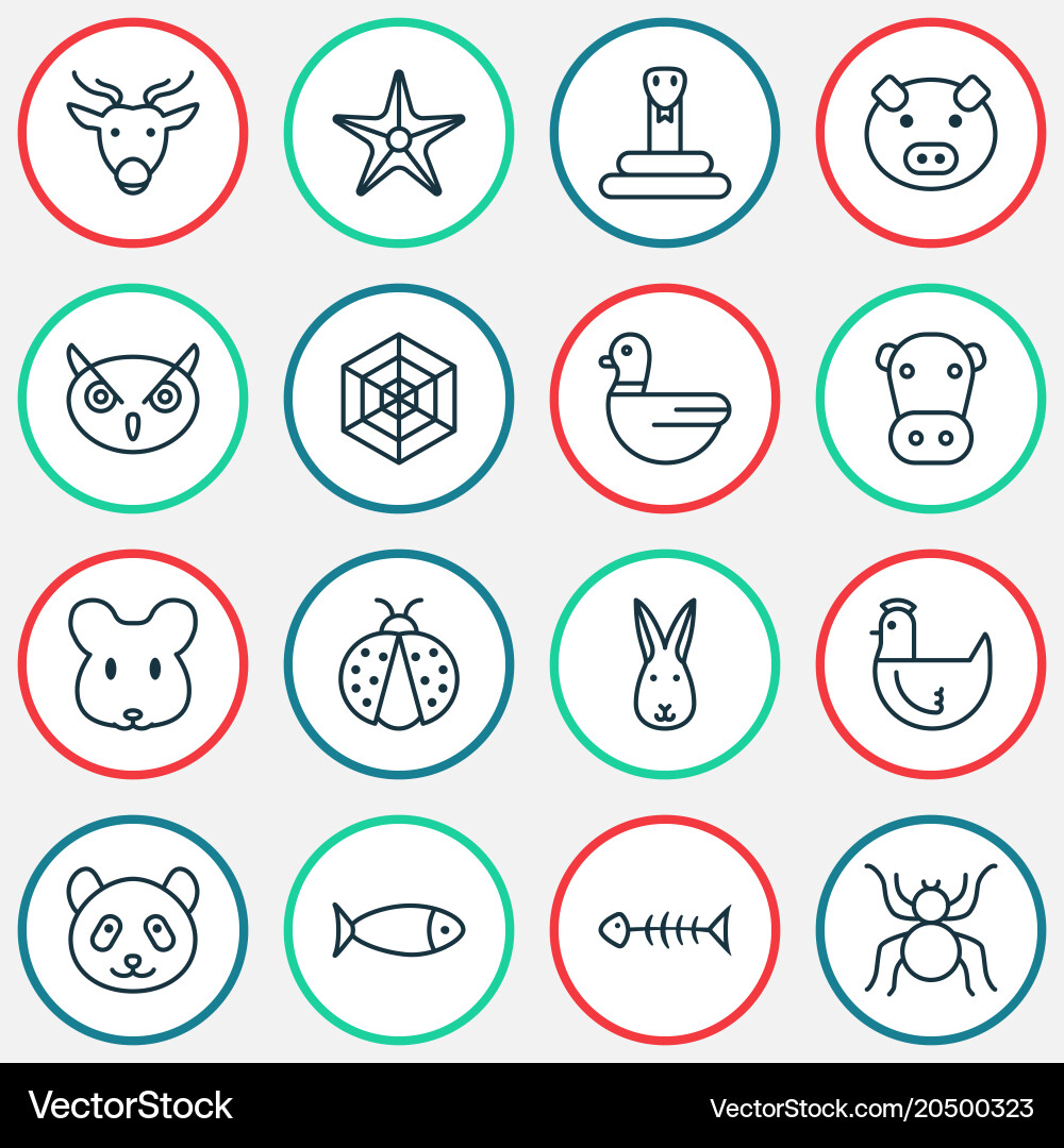 Nature icons set with arachnid spider web rabbit Vector Image