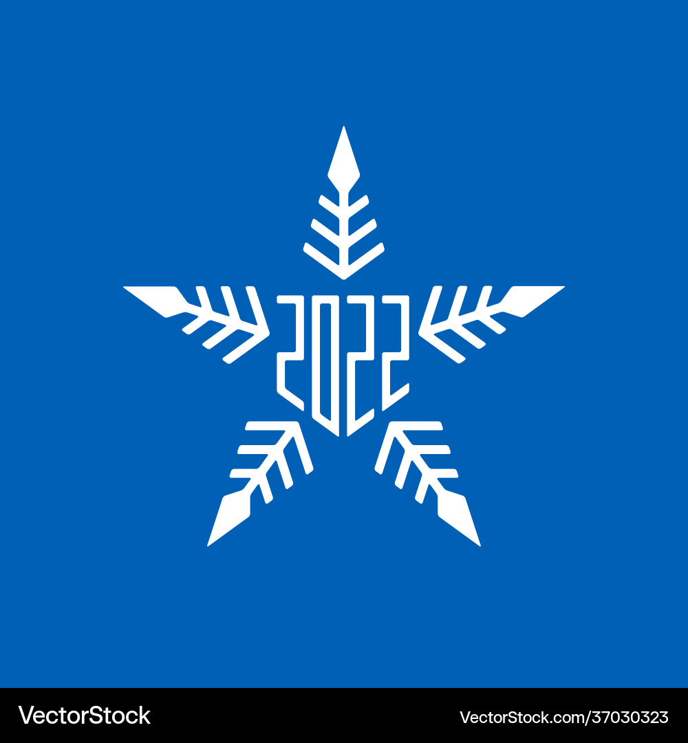 Original star-shaped snowflake with inscription Vector Image