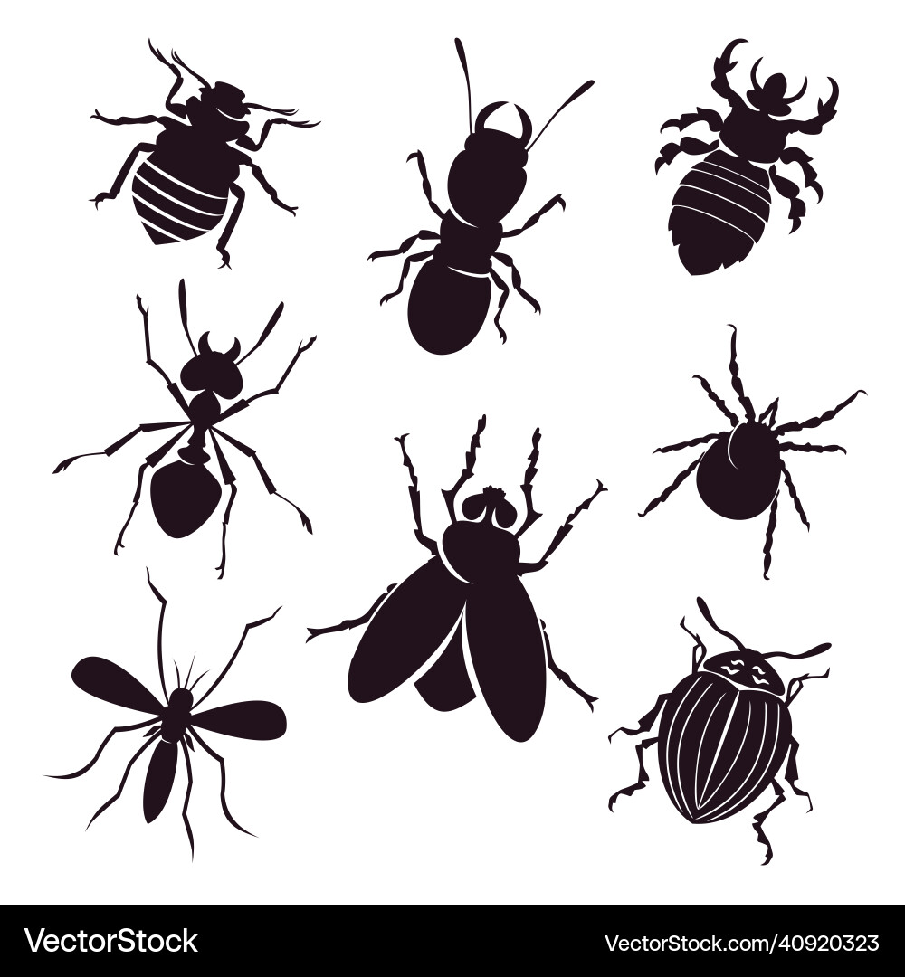 Set of insect silhouettes Royalty Free Vector Image
