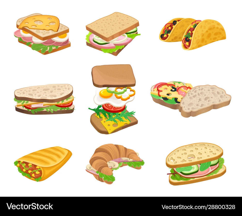 Subs and sandwiches with various ingredients Vector Image