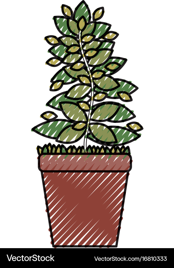 Plant in pot graphic design Royalty Free Vector Image