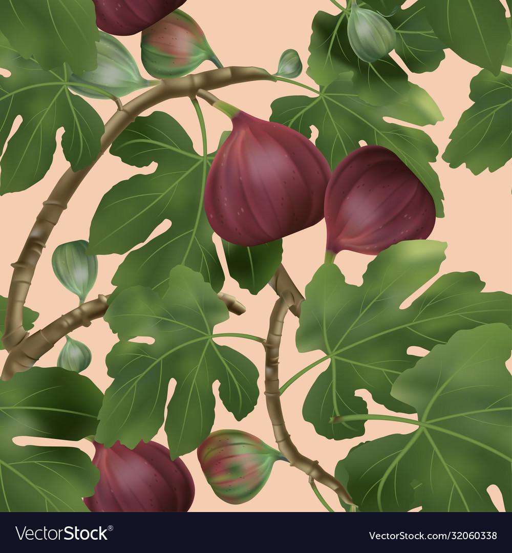 3d common fig tree seamless Royalty Free Vector Image
