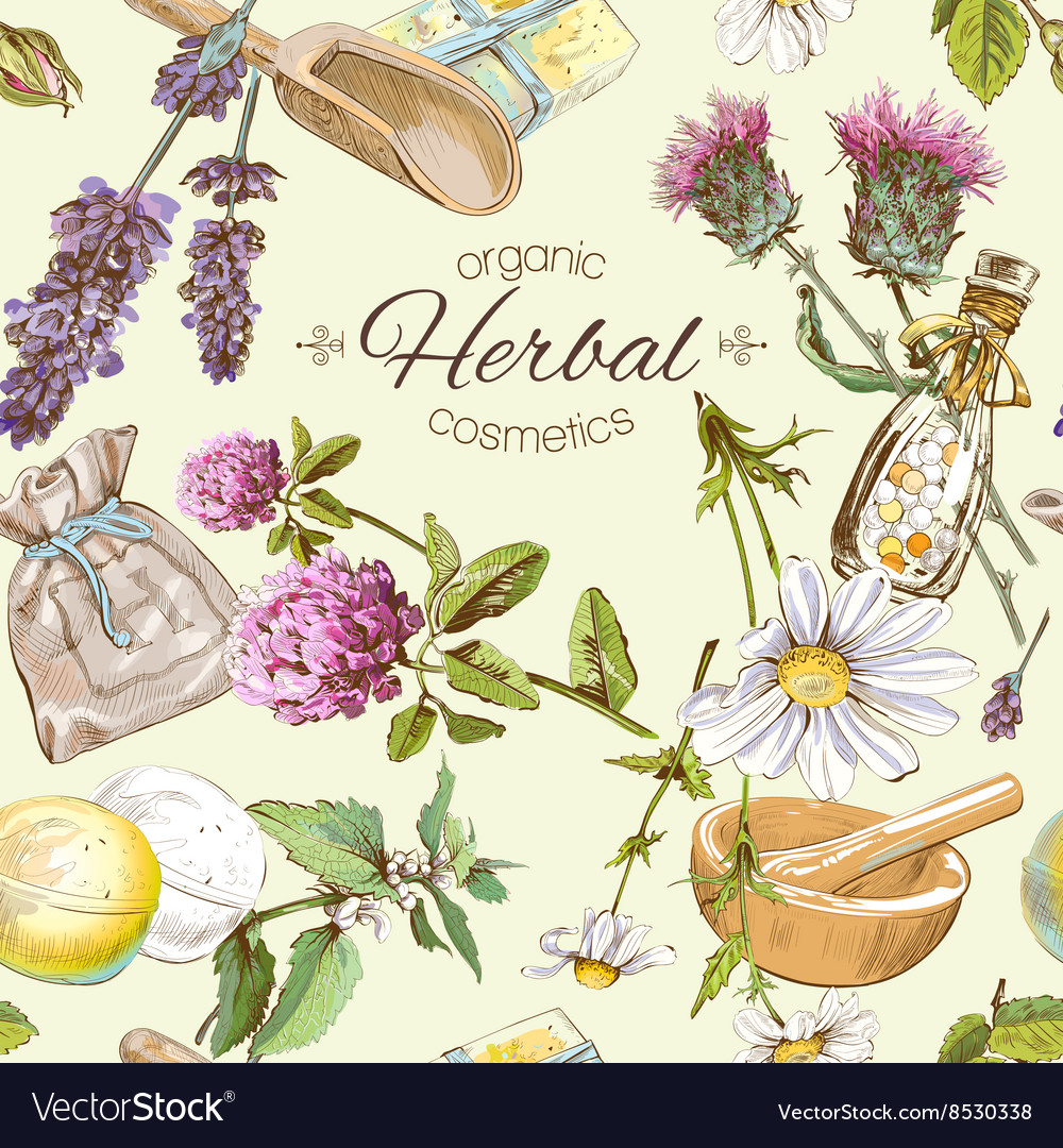 Herbal seamless pattern Royalty Free Vector Image