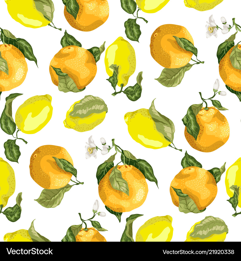 Juicy citrus fruits in a seamless pattern Vector Image