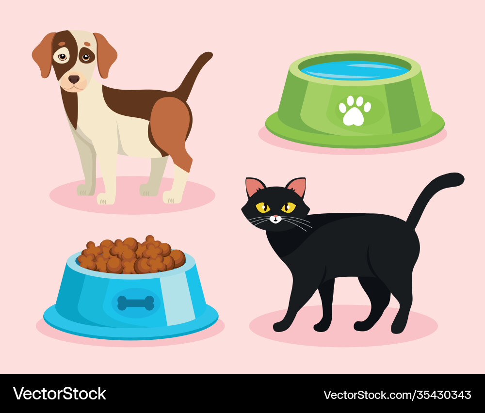 Bundle four pet shop set icons Royalty Free Vector Image