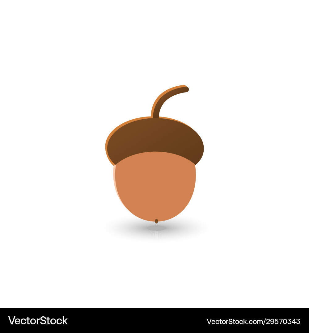 Colorful autumn acorn Royalty Free Vector Image
