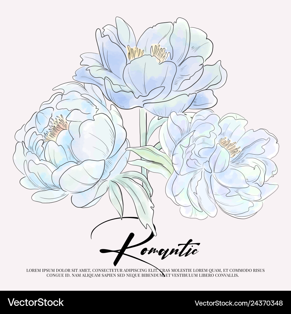 Blue peony flowers graphic invitation botanical Vector Image