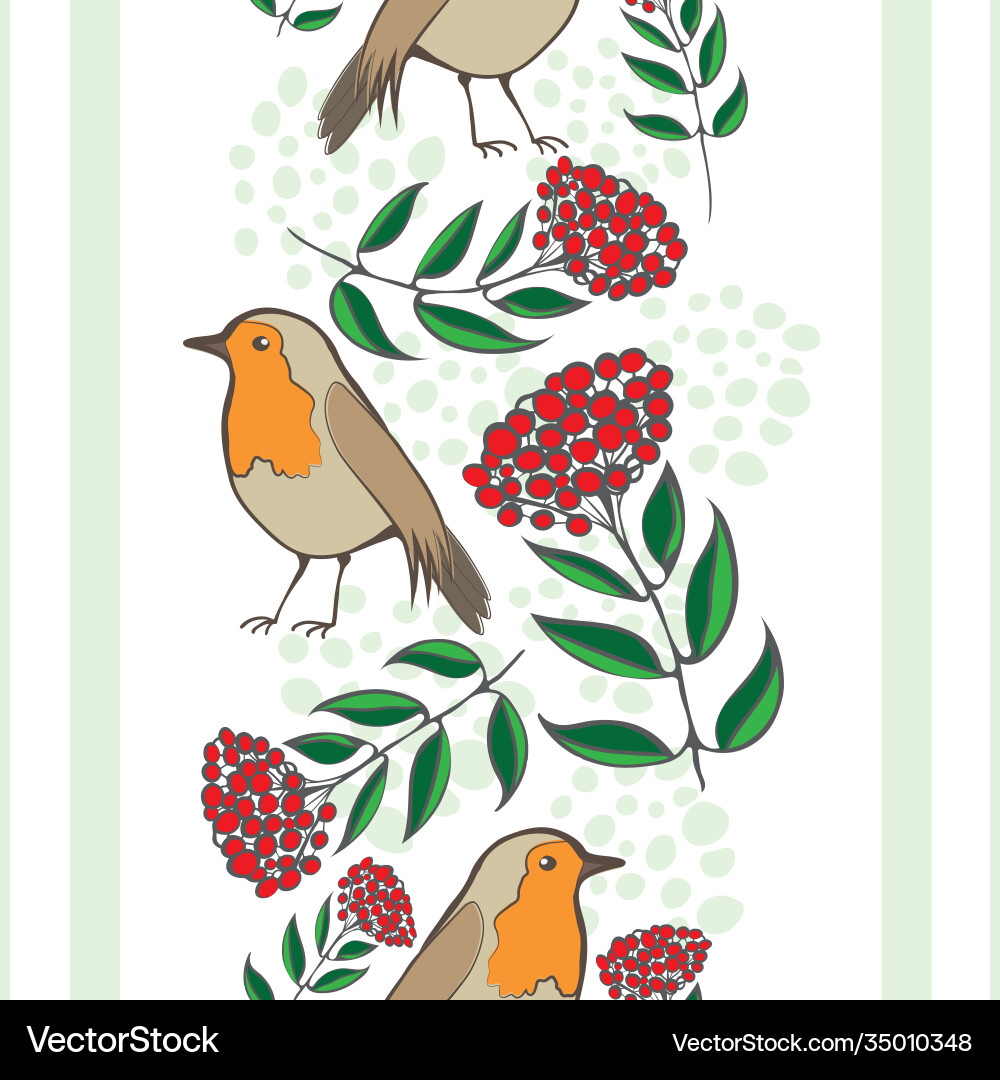 Robin redbreast berries leaves stripes seamless Vector Image