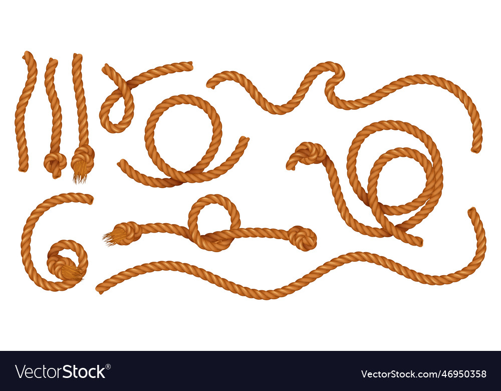 Curved pieces of natural jute cords Royalty Free Vector