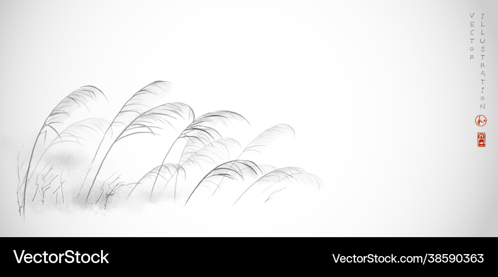 Leaves grass hand drawn with ink on white Vector Image
