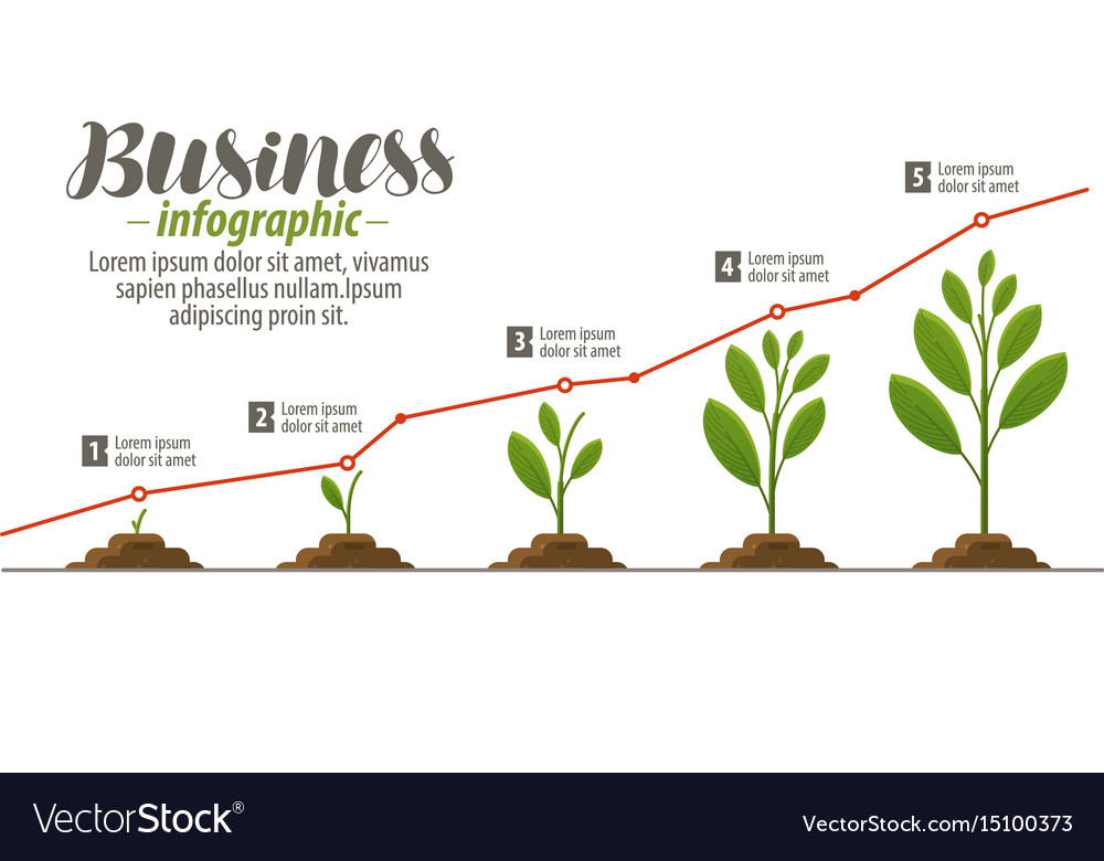 Business concept infographic template Royalty Free Vector