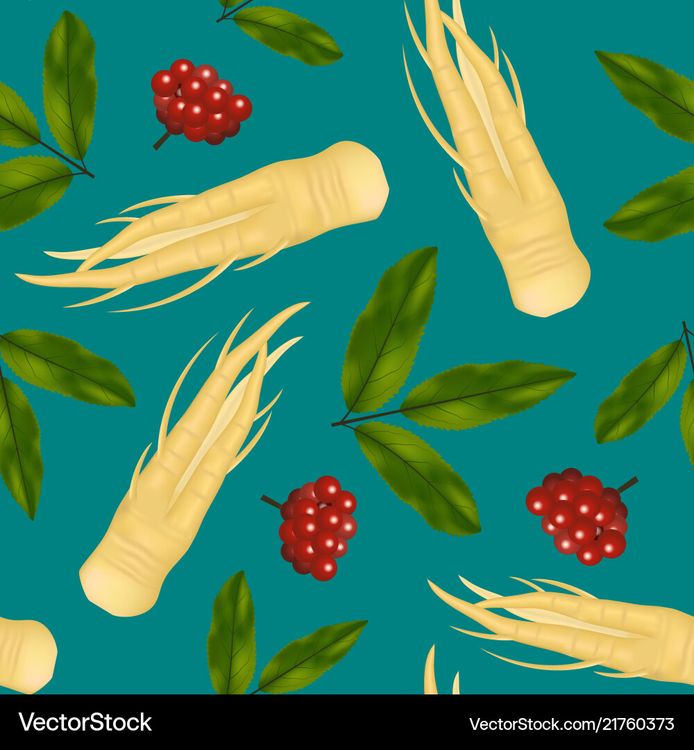 Realistic detailed 3d ginseng root and leaves Vector Image