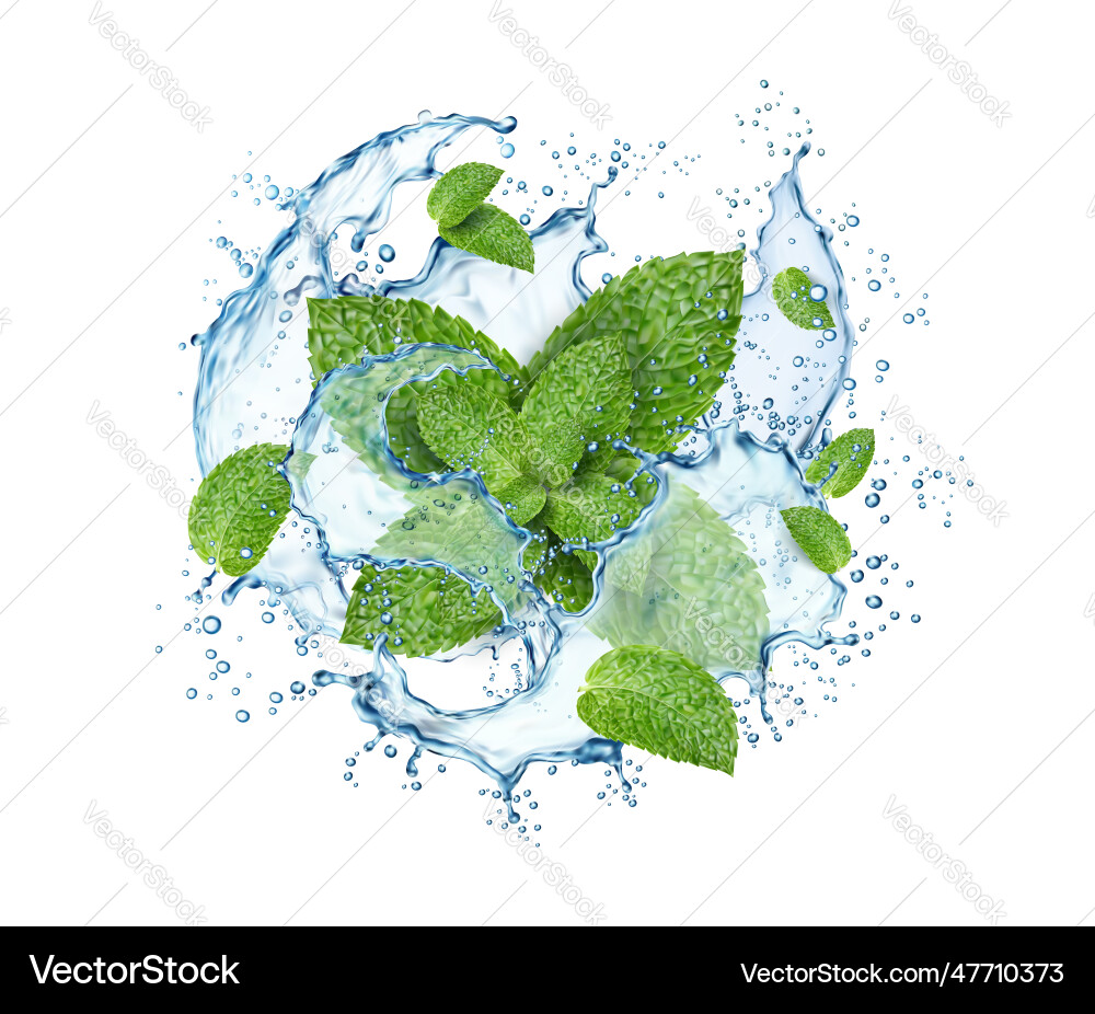 Realistic water splash with green mint leaves Vector Image