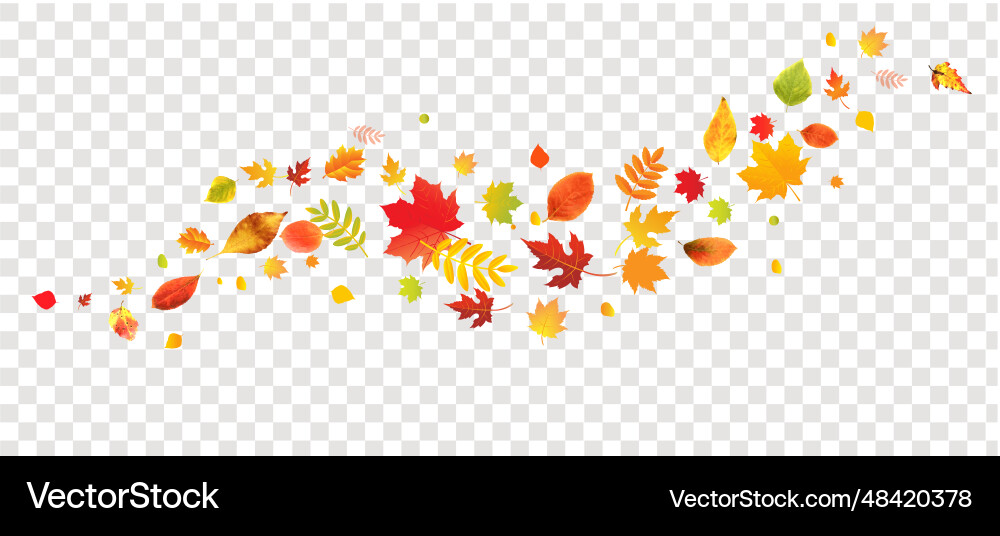 Autumn border with bright leaves transparent Vector Image